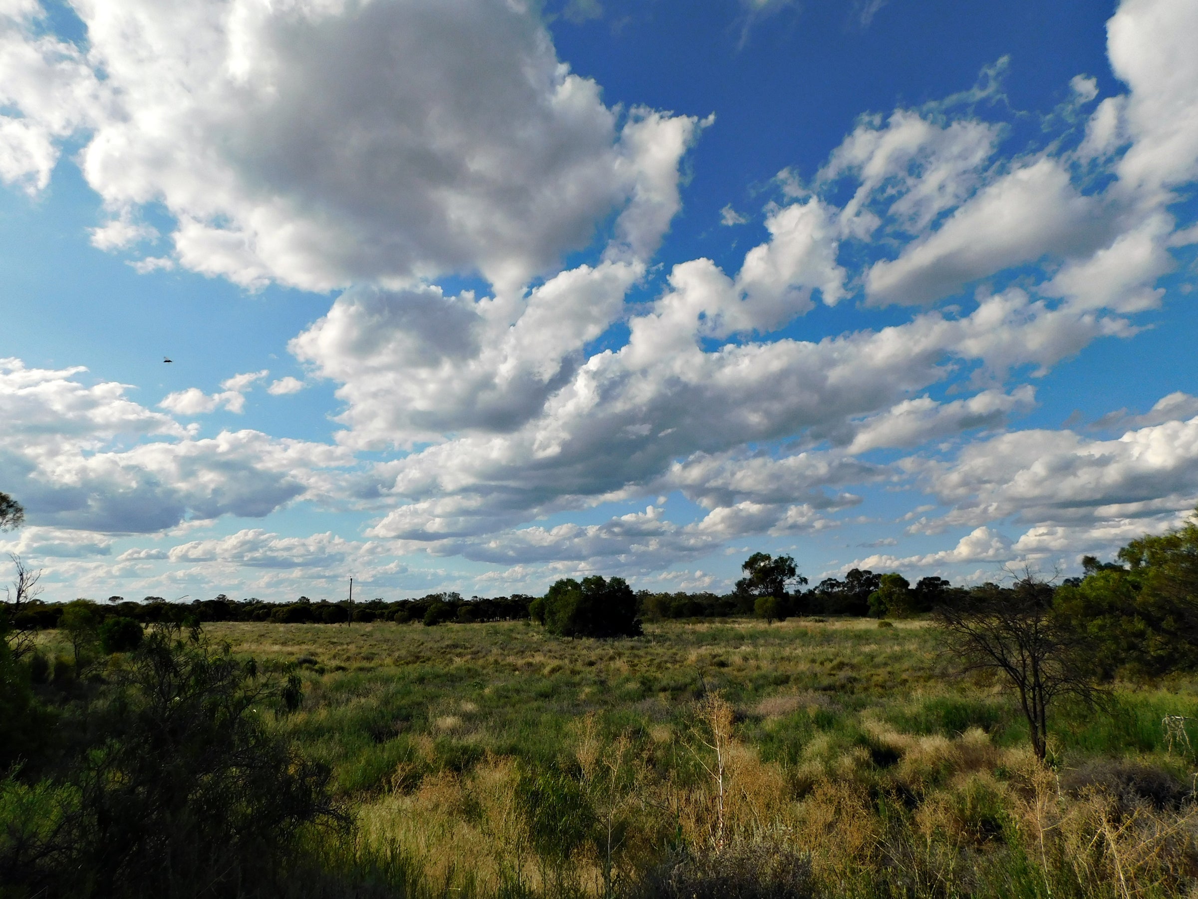 home about contact order email