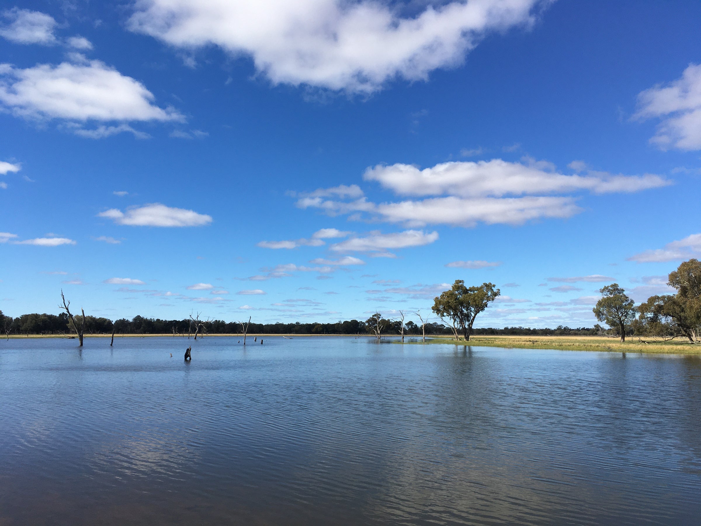 us should you have any questions we hope you enjoy our lamb and share ...